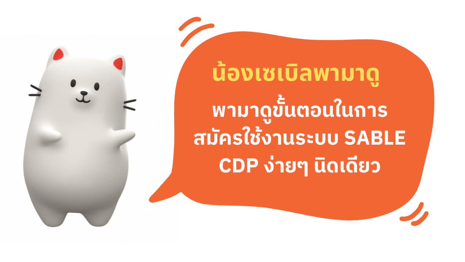 ขั้นตอนการลงทะเบียนใช้งาน SABLE CDP - SABLE CDP